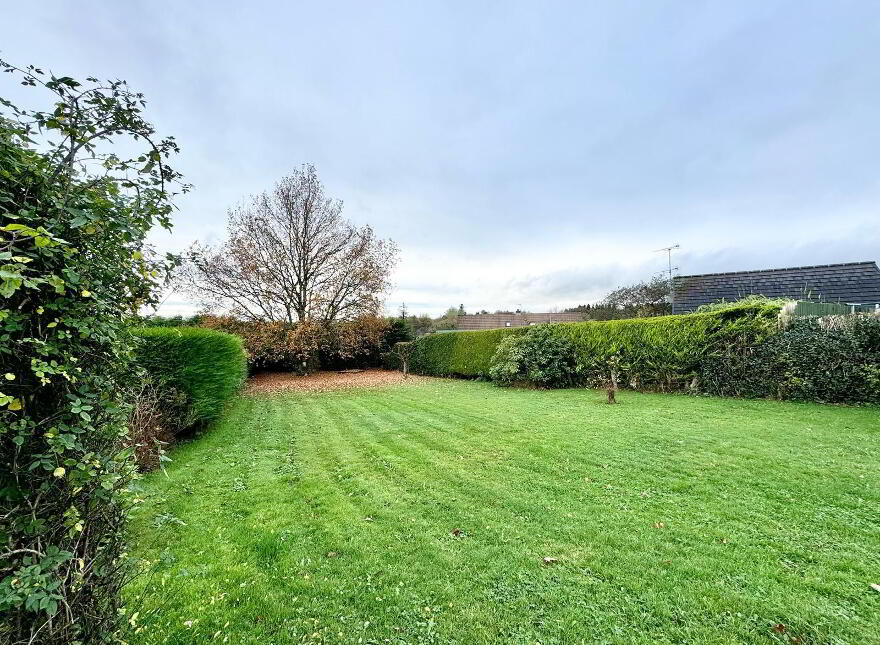 Houses For Sale in Omagh - Propertynews