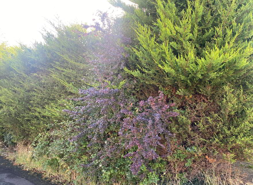 Property For Sale in Banbridge Area, Sorted by Price (Low to High ...