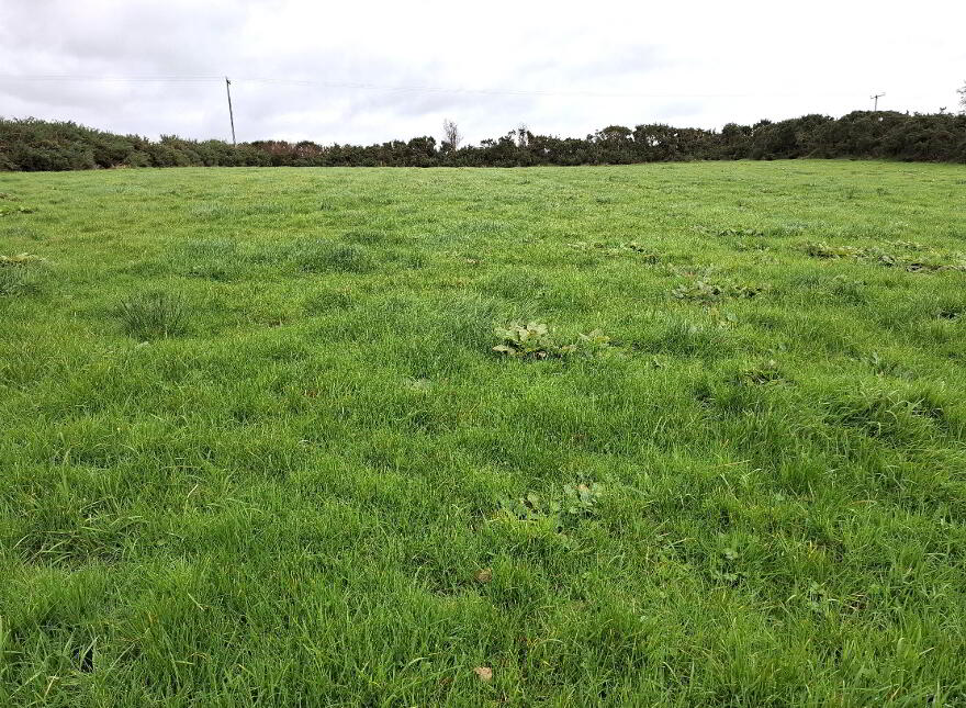 Land & Sites For Sale in Republic of Ireland - PropertyPal