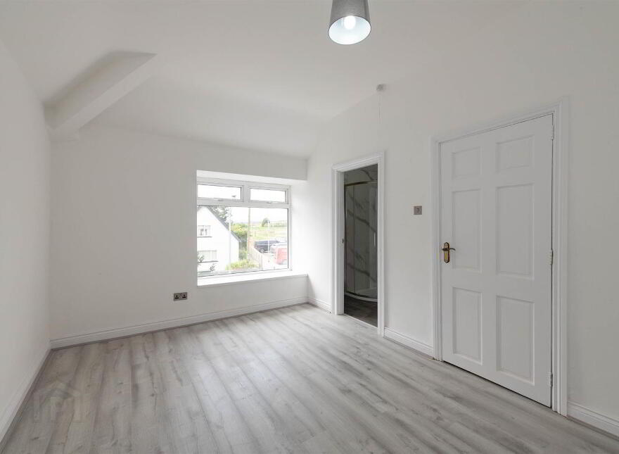 Property To Rent in Downpatrick Area - Propertynews