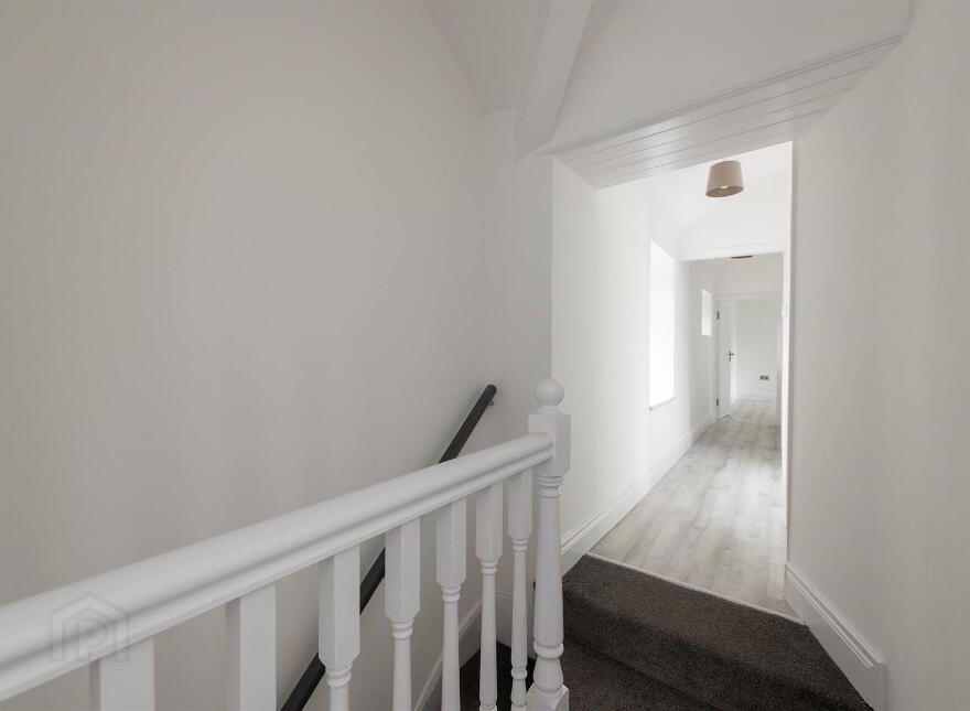 Property To Rent in Downpatrick Area - Propertynews