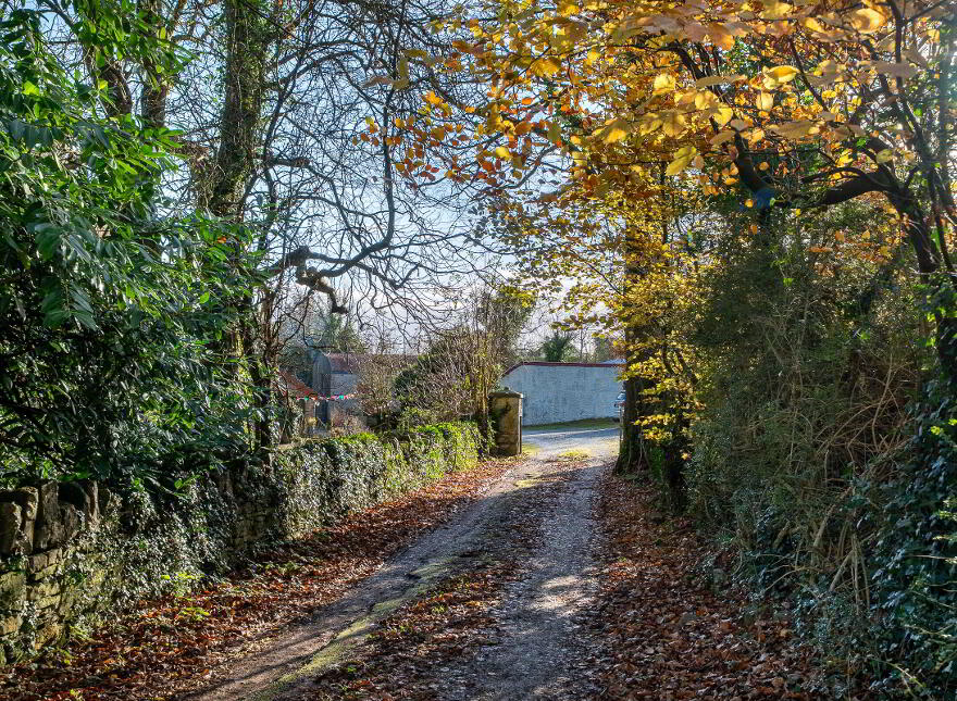 Property For Sale in N37 - Propertynews