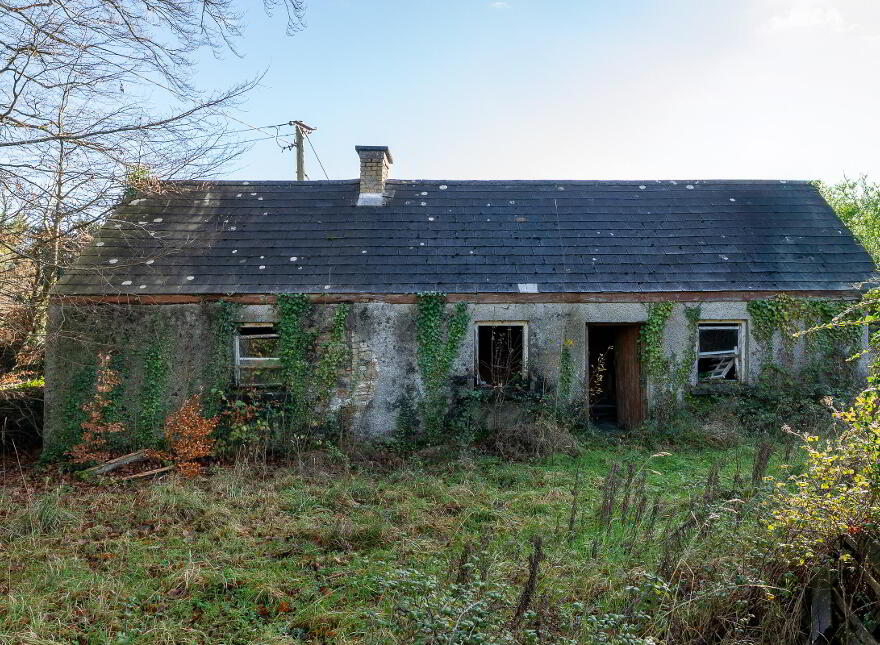 Property For Sale in N37 - Propertynews