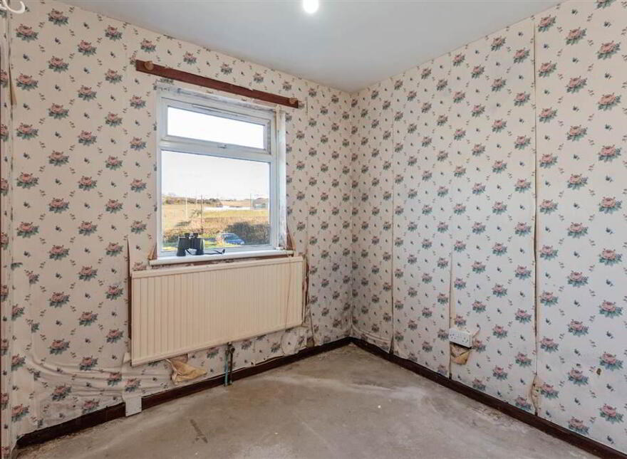 Property For Sale in Downpatrick Area - Propertynews