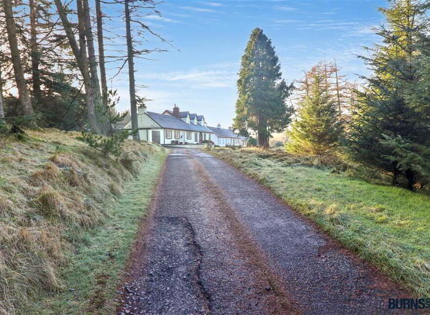 Property For Sale in BT79 - PropertyPal