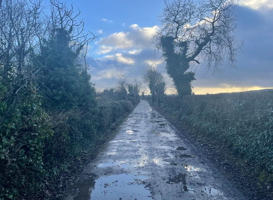 Land & Sites For Sale in Northern Ireland - PropertyPal