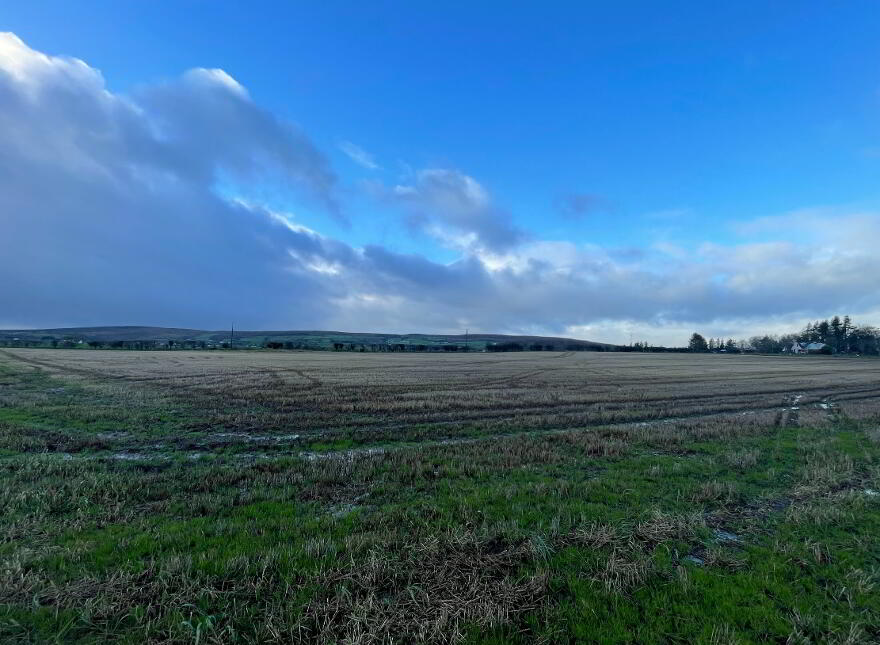 Land & Sites For Sale in Northern Ireland - Propertynews