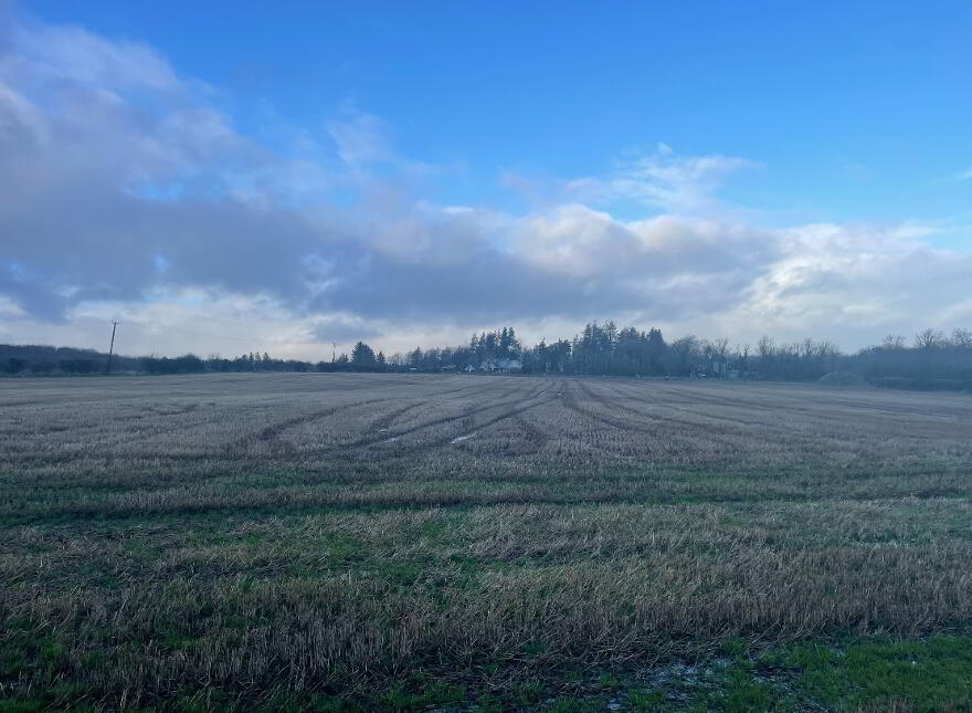 Land & Sites For Sale in Northern Ireland - Propertynews