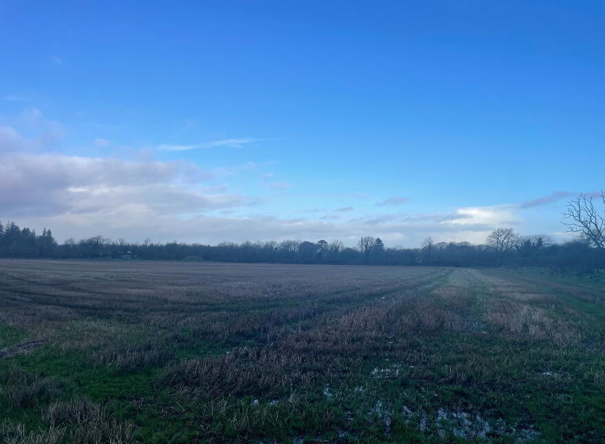 Agricultural Property For Sale in Northern Ireland - Propertynews