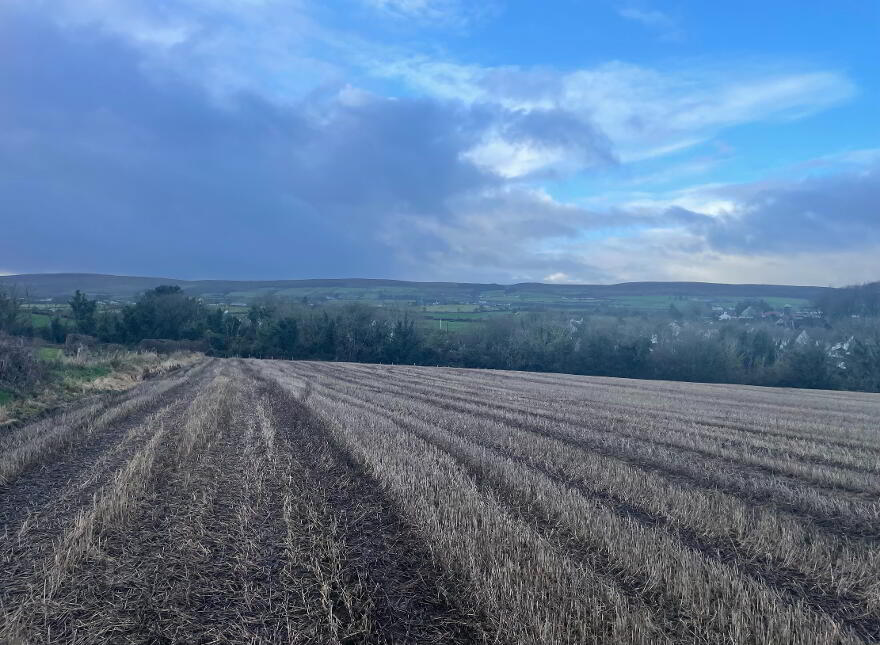 Agricultural Property For Sale in Northern Ireland - Propertynews