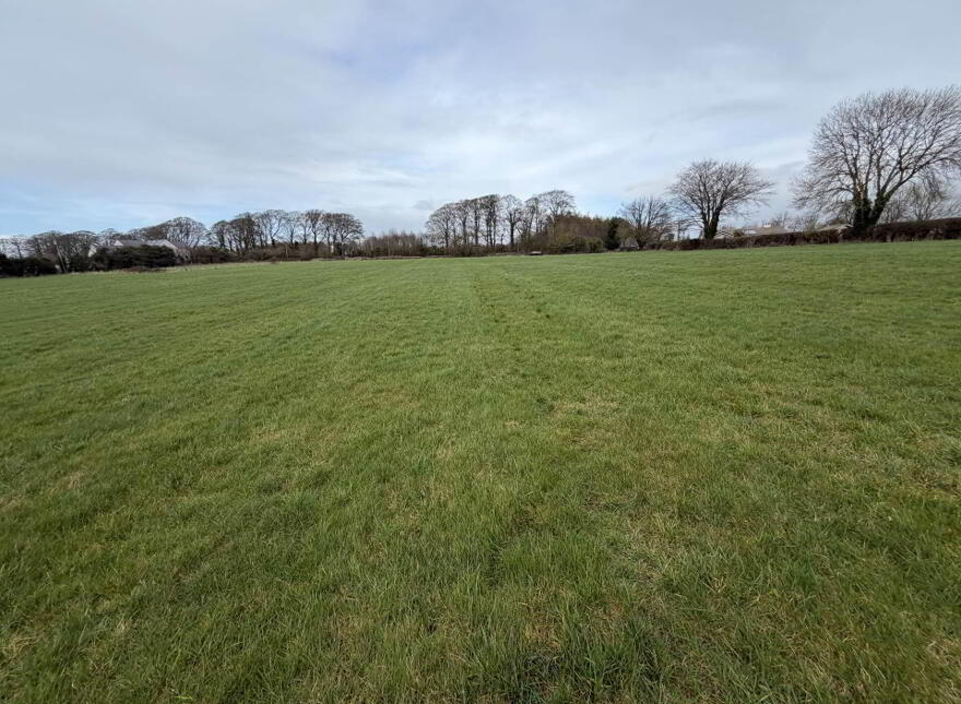 Agricultural Property For Sale in County Limerick - PropertyPal