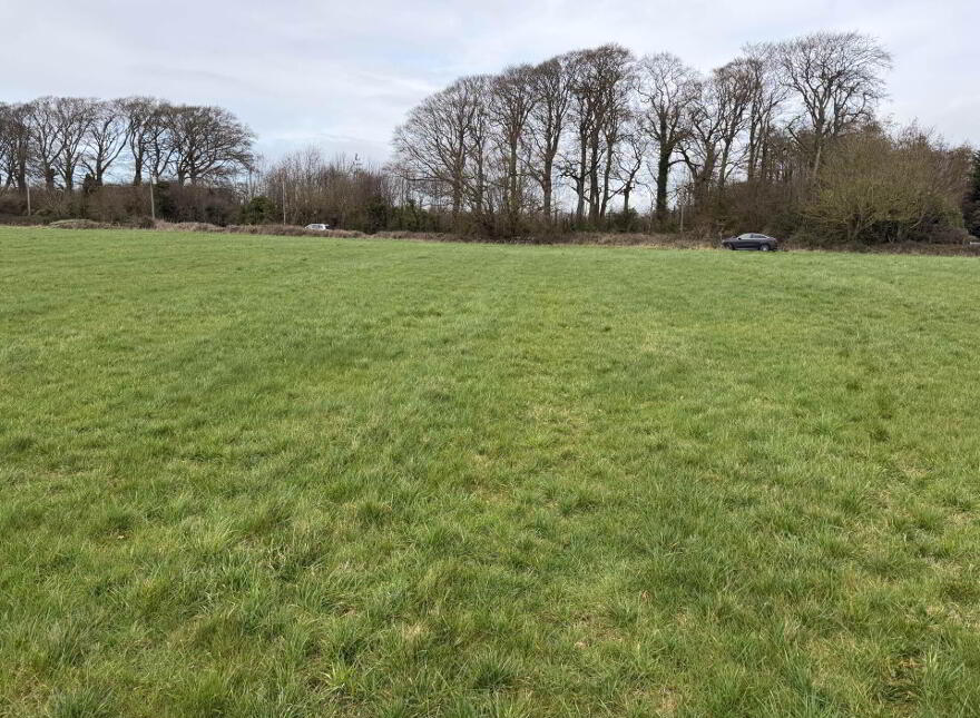 Agricultural Property For Sale in County Limerick - PropertyPal