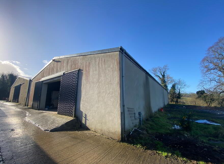 Commercial Property To Rent in Derry City Area - PropertyPal