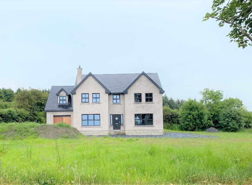 Property For Sale in Castleblayney - PropertyPal