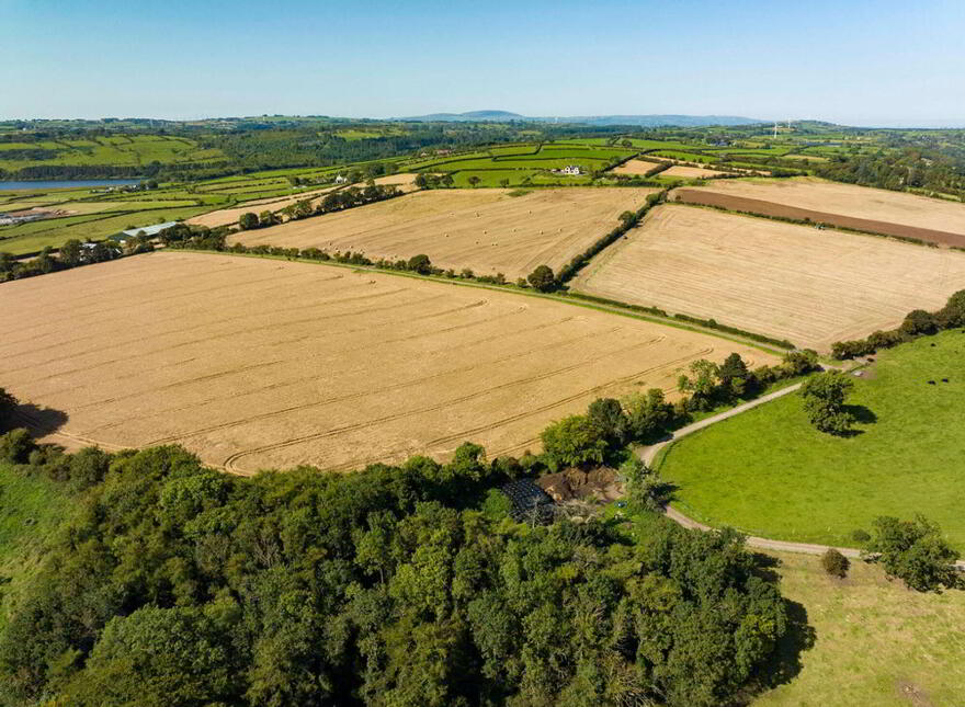 Agricultural Property For Sale in County Antrim - PropertyPal