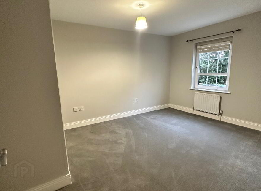 Houses To Rent in Lisburn - Propertynews