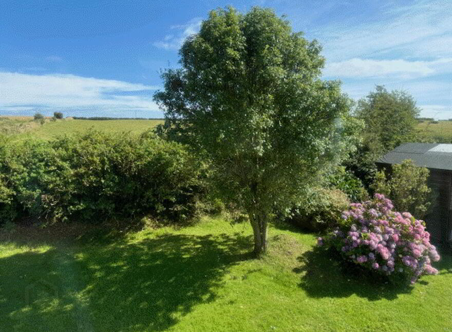 Property For Sale in Islandmagee - PropertyPal