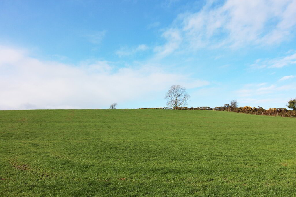 Page 2 Of Land & Sites For Sale