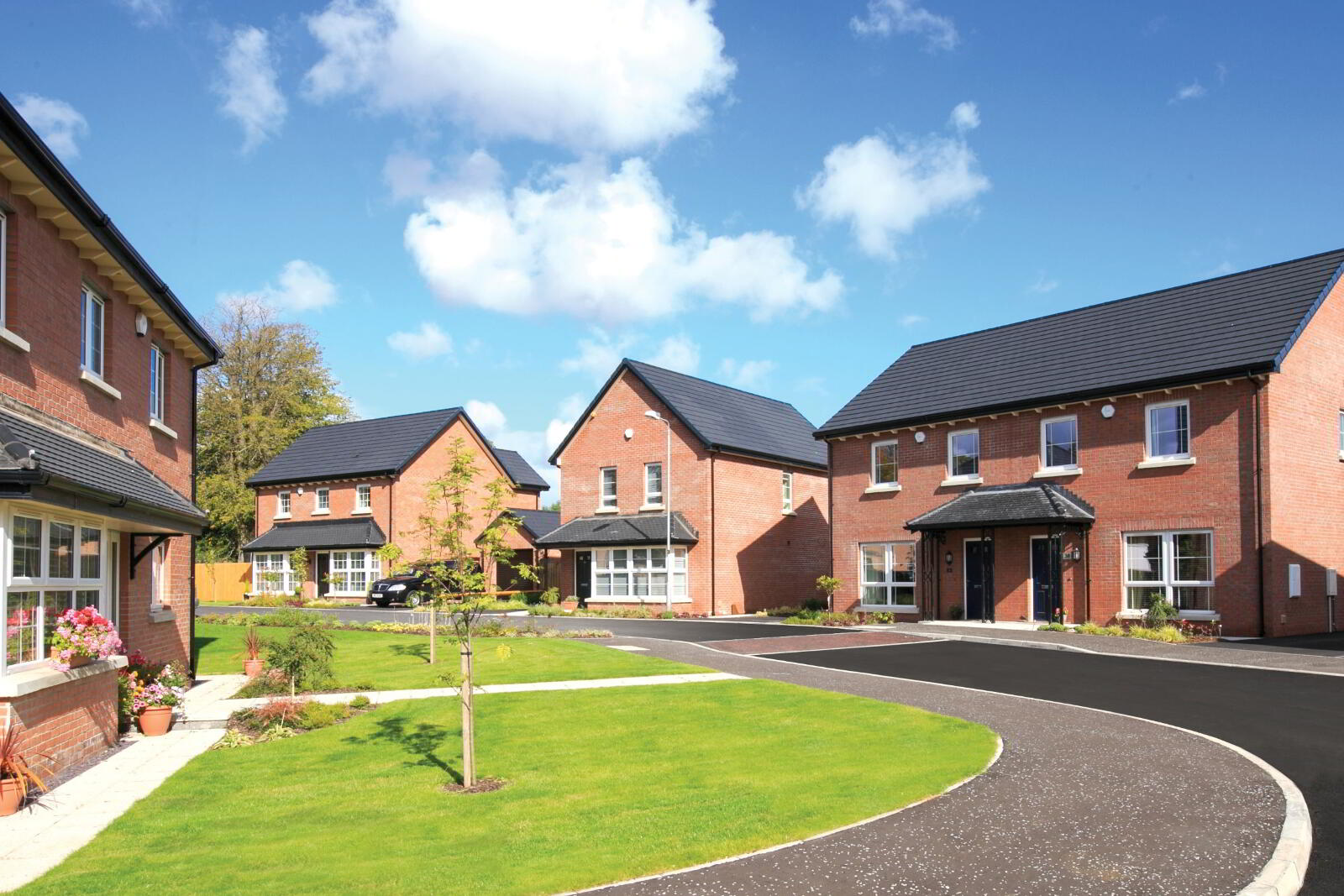 PropertyPal Find Property For Sale And Rent In Ireland And Northern