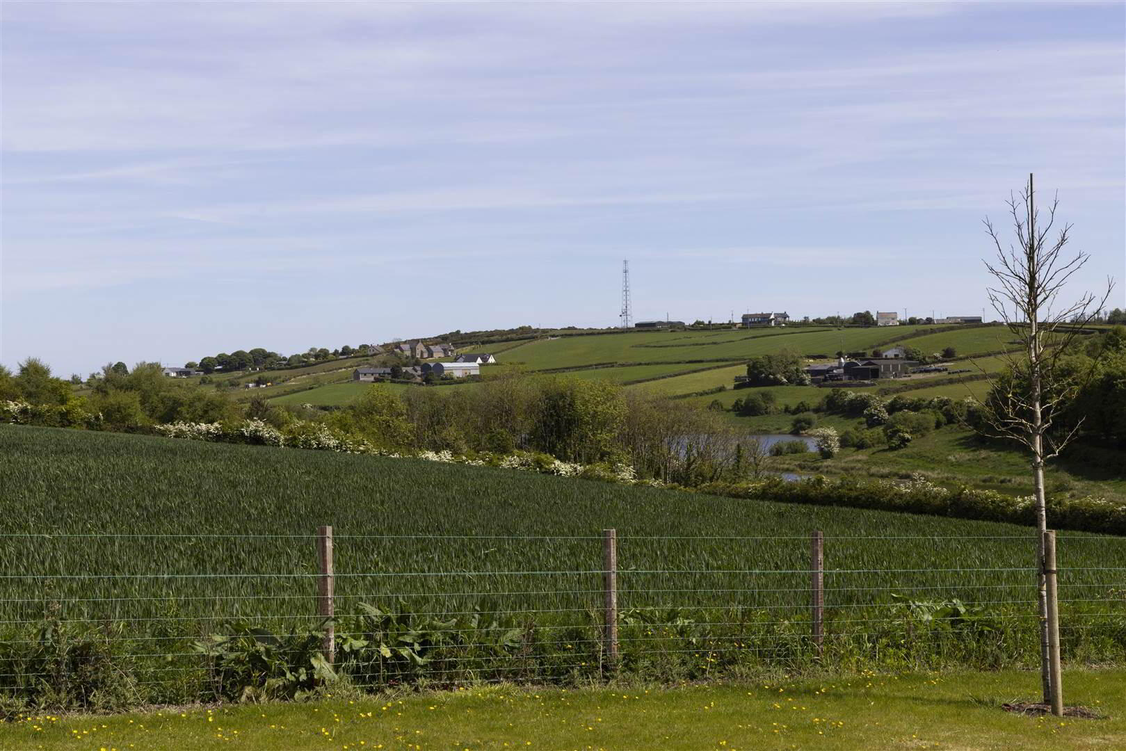 Moor Park, 42 Moss Road, Off Ballymiscaw Road, Holywood