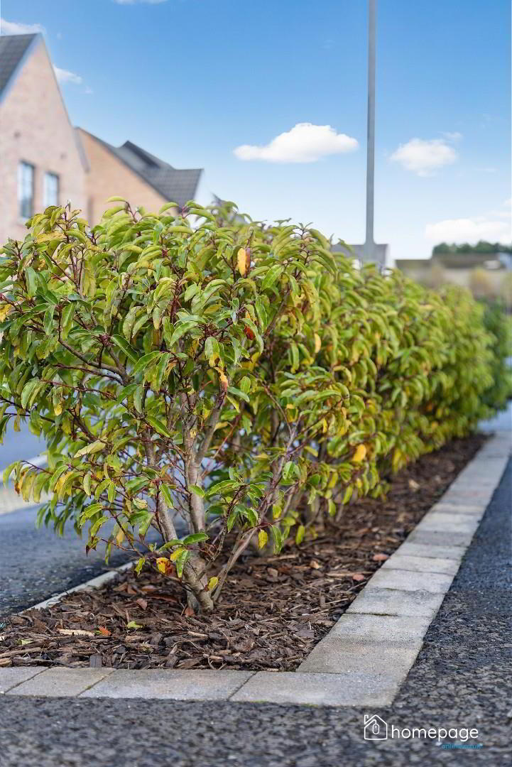 45 Beech Hill View, Derry / Londonderry