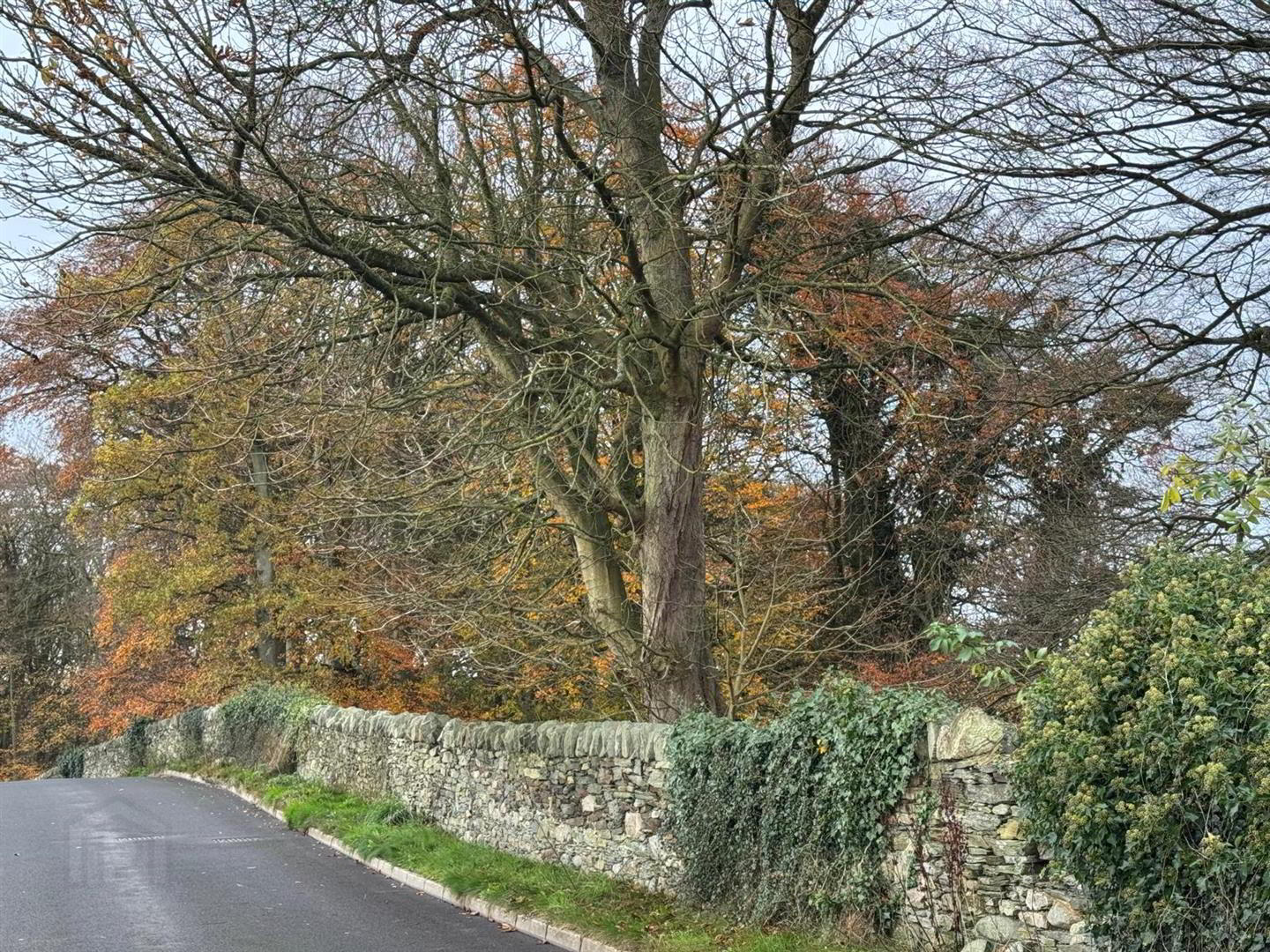 SITES, Upper Galliagh Road, Derry