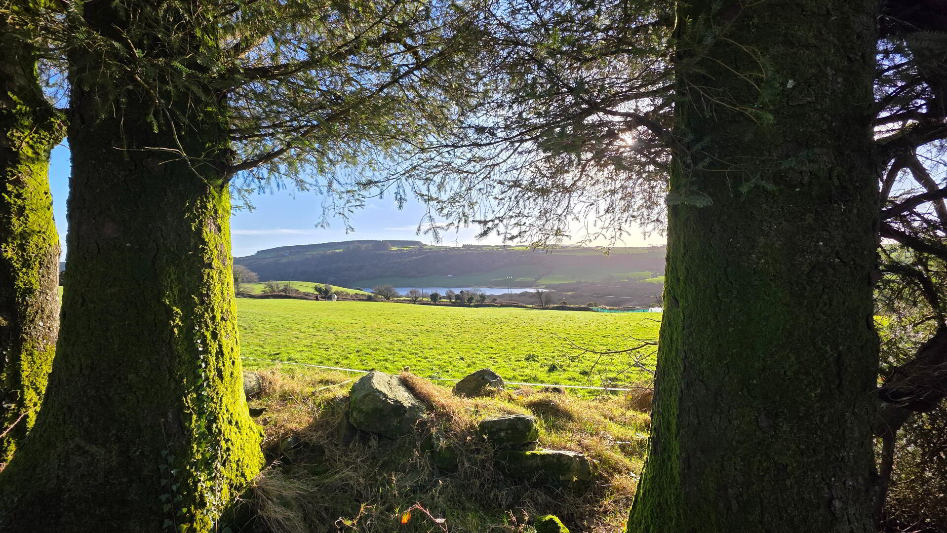 Drinagh West, Dunmanway