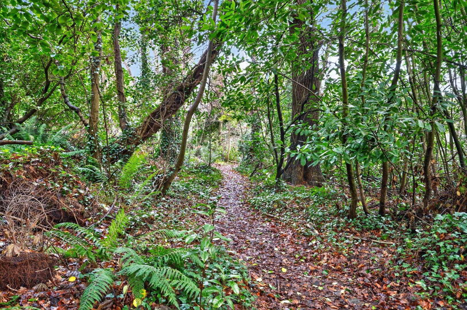 Tra Bella House, 7 Bridge Road, Helen's Bay