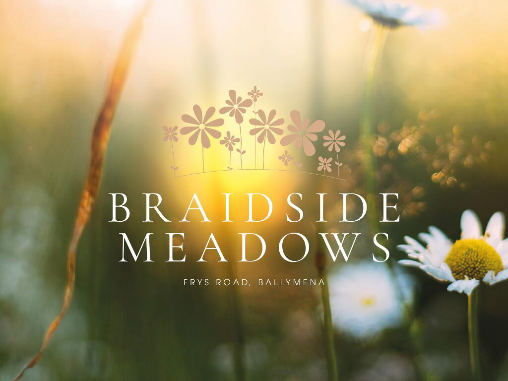 Braidside Meadows, Ballymena