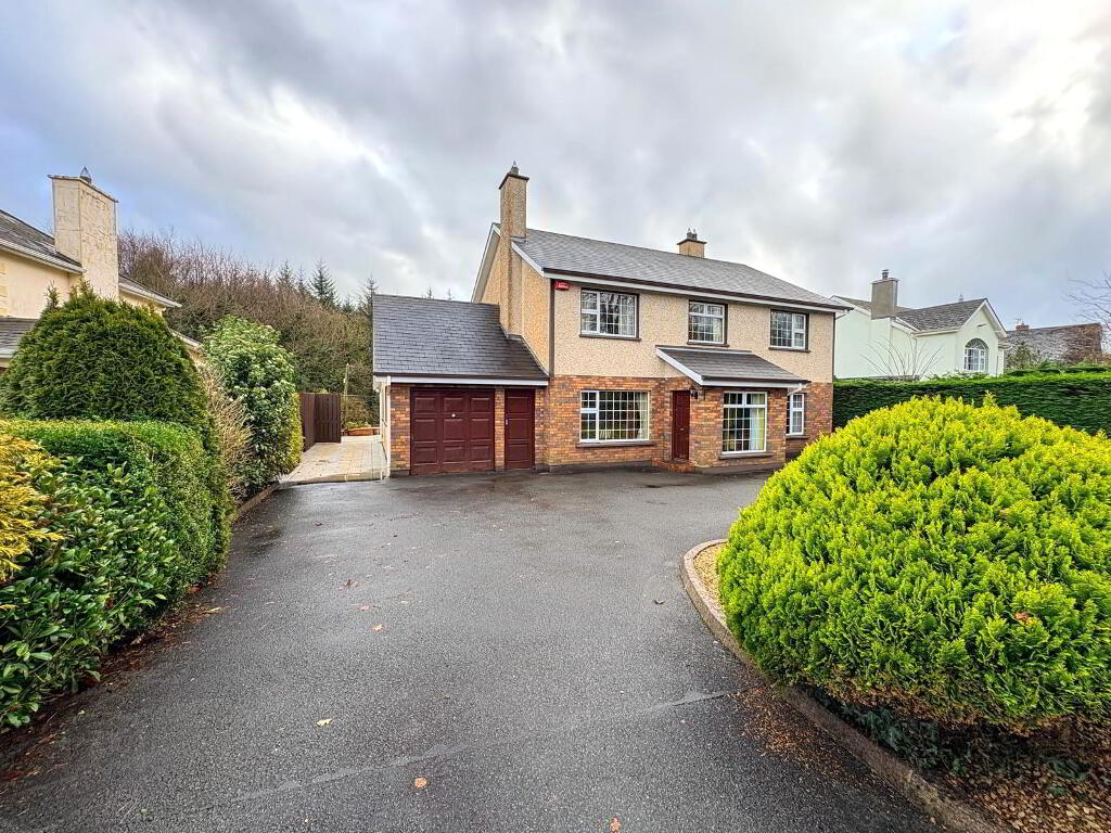 Park Road, Monaghan