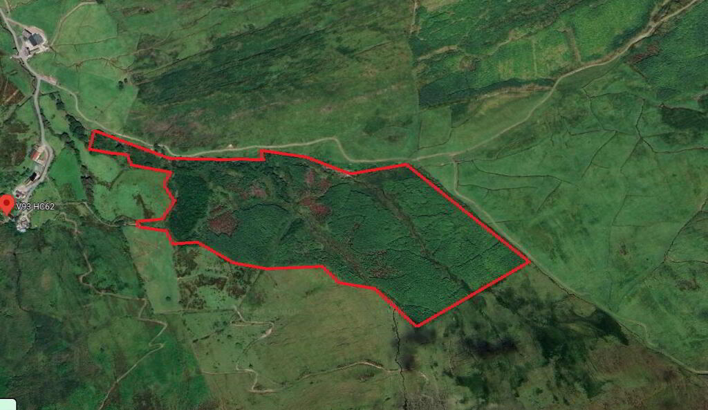 C. 41.5 Acres Forestry, Barnastooka, Kilgarvan